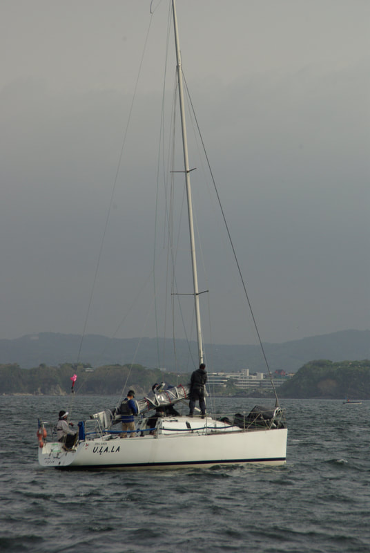 （新）JSAF外洋東京湾 - イベント情報